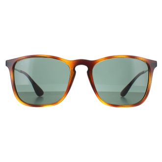 Ray-Ban Sonnenbrille 4221 622/8G Schwarzer Gummi Grau Gradient
