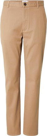 Farah Hose NORWOOD