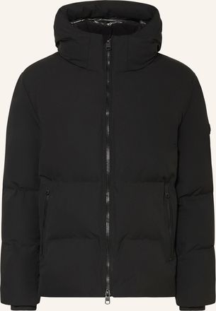 Cinque Cinque Steppjacke Cibooster schwarz