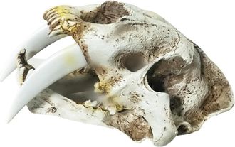 Garneck Tiersch&auml;del-Statue Tigersch&auml;delmodell Tigersch&auml;del-Versorgung Simulation Tigersch&auml;del S&auml;belzahnsch&auml;del Halloween Dekoration Halloween-Dekoration hausd