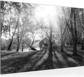 Runa Art Bild Wald Landschaft Modern Wandbilder Schlafzimmer Wohnzimmer 1 Teilig - Made In Germany - Sonne Schwarz Weiss Flur 608415c