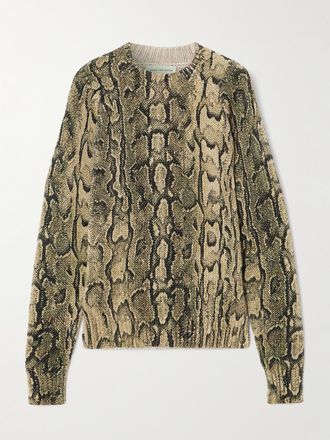 Dries Van Noten Pull En Mailles &Agrave; Imprim&eacute; Serpent - Imprim&eacute; animal