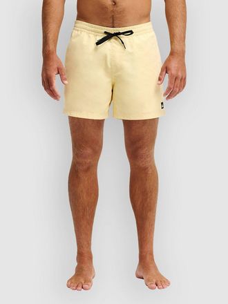 Quiksilver Everyday Solid Volley 15 Boardshorts straw