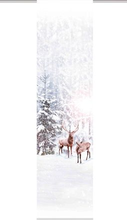 Home Fashion Schiebegardine 84740 HIRALIA | Ma&szlig;e: 245 x 60 cm (H&ouml;he x Breite), Farbe: Natur