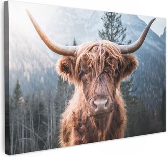 MuchoWow © Wandbilder Klein 30x20 cm Mini Wohnzimmer Wanddeko Schlafzimmer Zimmerdeko Fotowand Zimmer Deko Wand Dekoration Wall Art Kuh Leinwand - Schottisches