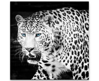 Paul Sinus Art Leinwandbilder | Bilder Leinwand 60x60cm ver&auml;rgerter Leopard schwarzwei&szlig;