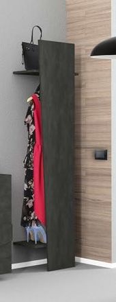 Dmora Eingangsm&ouml;bel Sante, moderner Multifunktionseingang, Mehrzweckschrank f&uuml;r die Eingangshalle, 100 % Made in Italy, 50 x 30 x 200 cm, Anthrazit