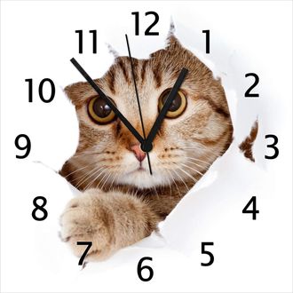 Wallario Design-Wanduhr Katze mit Blick nach vorn aus Glas, Motiv-Uhr Größe 30 x 30 cm, Schwarze Zeiger