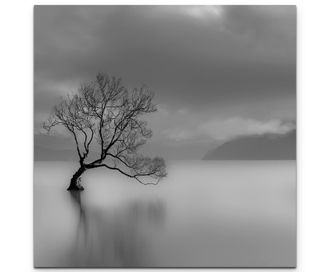 Paul Sinus Art Leinwandbilder | Bilder Leinwand 90x90cm Lake Wanaka - Neuseeland