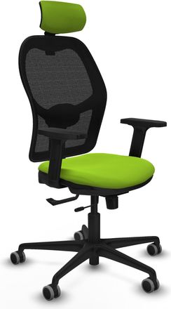 Piqueras y Crespo Ergonomischer Drehstuhl mit 2D-Armen, h&ouml;henverstellbare Lendenwirbelst&uuml;tze und h&ouml;henverstellbares Kopfteil, Schwarz / Pistazie