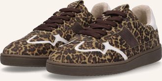 Apple of Eden Apple Of Eden Sneaker braun