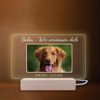 Indigos UG LED Lampe personalisiert - Gedenktafel - quer, Bild gro&szlig; - Haustier, Hund, Katze - Wunschbild, Wunschtext - personalisierte Lampe - Geschenk, Familie 