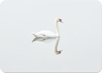 Fabulous Tischset mit Unterseite aus Kork, Schwan, weiß, reflektierend im Wasser eines Sees, groß, 39,5 x 28,5 cm