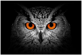 Wallario K&uuml;chenr&uuml;ckwand aus Glas 90 x 60 cm, Motiv: Blick aus der Dunkelheit | Spritzschutz abwischbar & pflegeleicht