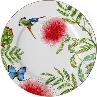 Villeroy & Boch Amazonia Anmut Platzteller 30 cm