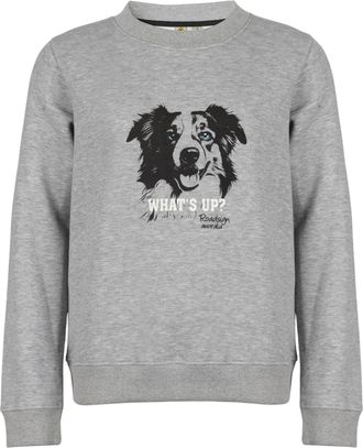 Roadsign Damen Sweatshirt lässiger Herbstbegleiter mit Hunde-Print für entspannte Freizeitlooks grau, 2XL