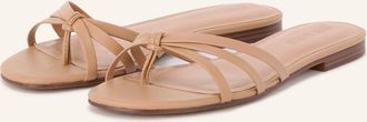 Steve Madden Zehentrenner Calissi beige