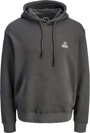 Jack & Jones Kapuzensweatshirt JCOFLARE BACK PHOTO PRINT SWEAT HOOD