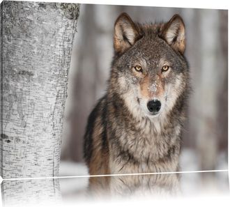 Pixxprint Wachsamer Wolf, Größe: 100x70cm, Leinwandbild, fertig gespannt, Wandbild, Dekoration, Kunstdruck, kein Poster