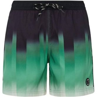 Protest Herren Badeshorts PRTBowery