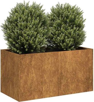 vidaXL Jardini&egrave;re rouill&eacute; 80x40x40 cm acier inoxydable - Vidaxl