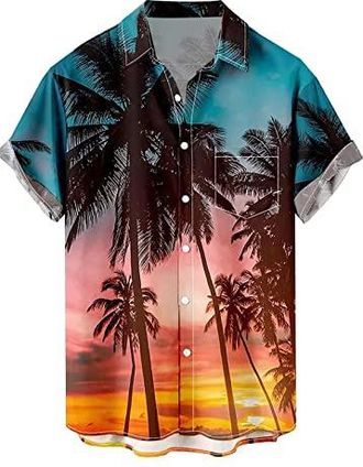 Generic Chemises boutonn&eacute;es d&eacute;contract&eacute;es pour hommes - Chemisier hawa&iuml;en d&eacute;contract&eacute; - Chemise boutonn&eacute;e - Pour les vacances d&eacute;t&eacute; - Plage - Haut &agrave; col &agrave; reve