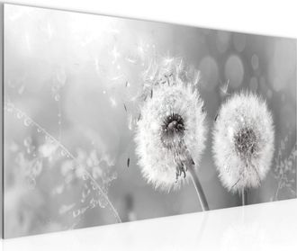 Runa Art Wandbild Pusteblume 1 Teilig 100 x 40 cm Modern Bild auf Vlies Leinwand Natur Wohnzimmer Schlafzimmer Schwarz Weiss 023612c