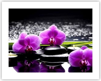 Arttor Poster ohne Rahmen Deko 50x40cm Orchidee Natur Wasser Blume Wandposter Art Prints Wanddeko Bild Wand Kunstdruck Wandbilder Dekoration Wohnzimmer Schla