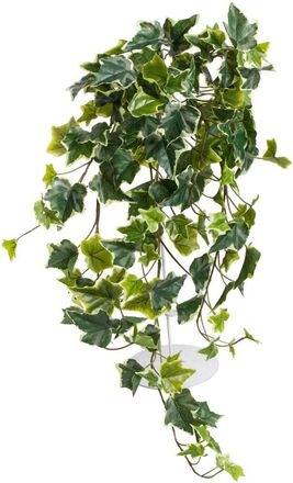 Botanic-Haus künstlicher Efeu Hängebusch, Kunstpflanze Holland Efeu ca. 65 cm lang, Farbe: grün-Creme