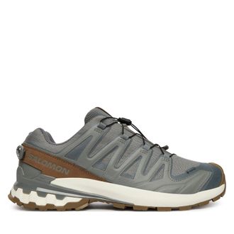 Salomon Trekkingschuhe Salomon Xa Pro 3D V9 Gtx L49296100 Grau
