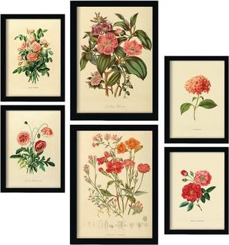 Nacnic Lot de 6 Fleurs roses roses Affiches. Dans Imprim&eacute;s vintage. Impressions d&eacute;coratives esth&eacute;tiques pour votre salon, chambre, maison Tailles A4 et A3