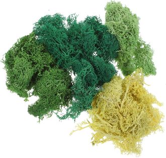 Cabilock 4 St&uuml;ck Pack Konserviertes Ewiges Moos in Gelb und Gr&uuml;nt&ouml;nen Selbstgemacht Moos f&uuml;r Basteln Topfpflanzen Dekoration Terrarium und Mikrolandschaften Pf