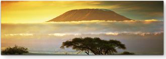 Paul Sinus Art Leinwandbilder | Bilder Leinwand 120x40cm Landschaft Kilimanjaro in Afrika