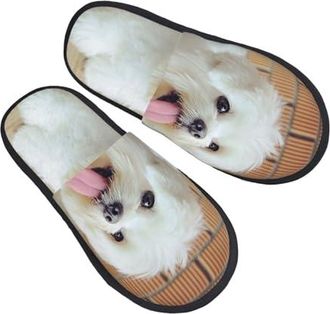 Generic Pantoufle Maison Chien Maltais Mignon Hiver Pantoufles Confortable Hiver Chaussures Chaudes Doux Chaudes Pantoufles Pour H&ocirc;tels Salon Maison M
