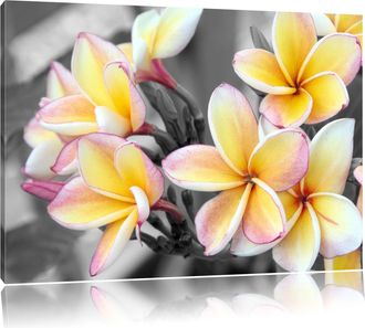 Pixxprint schöne Monoi Blüten B&W, Größe: 80x60cm, Leinwandbild, fertig gespannt, Wandbild, Dekoration, Kunstdruck, kein Poster