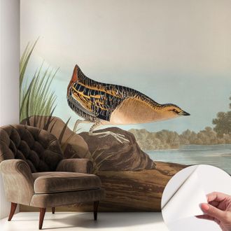 Tulup Carta Da Parati Autoadesiva - Impermeabile - Murale Da Parete - Decorazione Murale - Scena Naturale 250x250 Cm