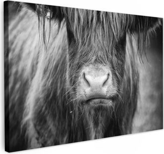 MuchoWow © Wandbilder Klein 30x20 cm Mini Wohnzimmer Wanddeko Schlafzimmer Zimmerdeko Fotowand Zimmer Deko Wand Dekoration Wall Art Schottisches Hochlandrind -