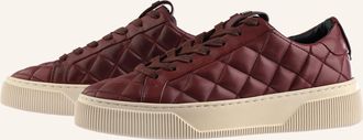 H&ouml;gl Sneaker Marley rot