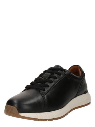 Salamander Sneaker