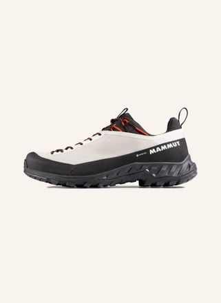 Mammut Mammut Zustiegsschuhe Alnasca Iv Low Gore-Tex grau