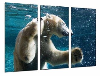 Cuadros Cámara Gemälde Kamera Poster Foto mehrfarbig 97 x 62 cm