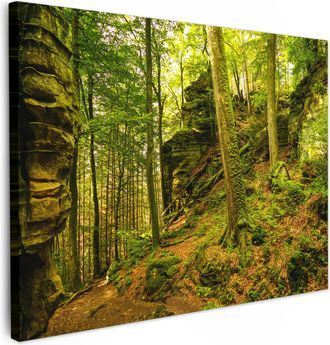 MuchoWow © Bilder 70x50 cm Wohnzimmer Deko Modern Wandbild Foto auf Leinwand Bild Schlafzimmer Room Decor Geschenke Wandbilder Wald - Bäume - Stein - Natur - P