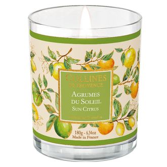 Collines de Provence Duftkerze Les Estivales 180g - Zitrusfrüchte
