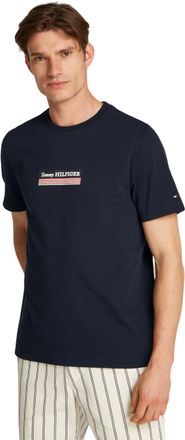 Tommy Hilfiger Herren T-Shirt Kurzarm Box aus Baumwolle, Blau (Desert Sky), L