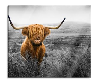 Pixxprint Highland Rind mit großen Hörnern Steppe B&W Detail Herdabdeckplatte & Spritzschutz aus Echtglas | Für Herd-Kochfelder | 60x52 cm