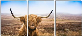 Pixxprint Highland Rind mit großen Hörnern Steppe, XXL Leinwandbild in Übergröße 180x80m Gesamtmaß 3 teilig, Wandbild, Kunstdruck