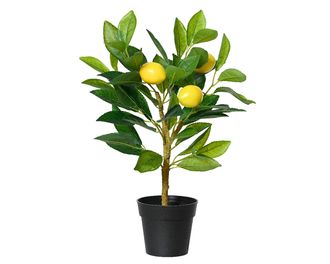 Decoris K&uuml;nstlicher Zitronenbaum 43cm im Topf - Kunstpflanze Zitronenb&auml;umchen - Topfpflanze Zitrone als Fr&uuml;hlingsdeko Osterdeko Sommerdeko - Zitruspflanze - G