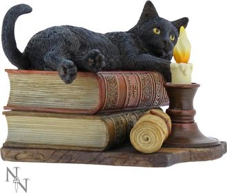 Nemesis Now Hexenstunde Lisa Parker, 20,5 cm, Kunstharz, Braun