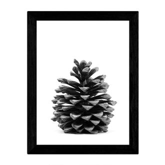 Nacnic Pinecone Blatt in A3-Format, Schwarz-Wei&szlig;-Posterpapier 250 gr und qualitativ hochwertige Tinten. Frameless