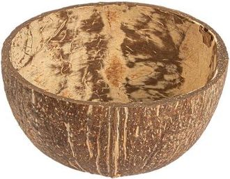 Garcia de Pou 5 Stück - Schüsseln, 100 ml, Ø 9 x 5 cm, natürliche Kokosnuss